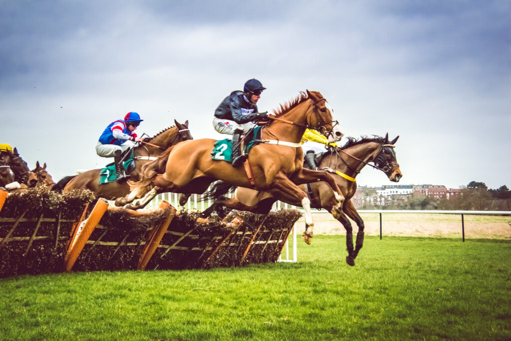 Racing TV Grand Season Opener at Warwick Racecourse - The Wine Tipster